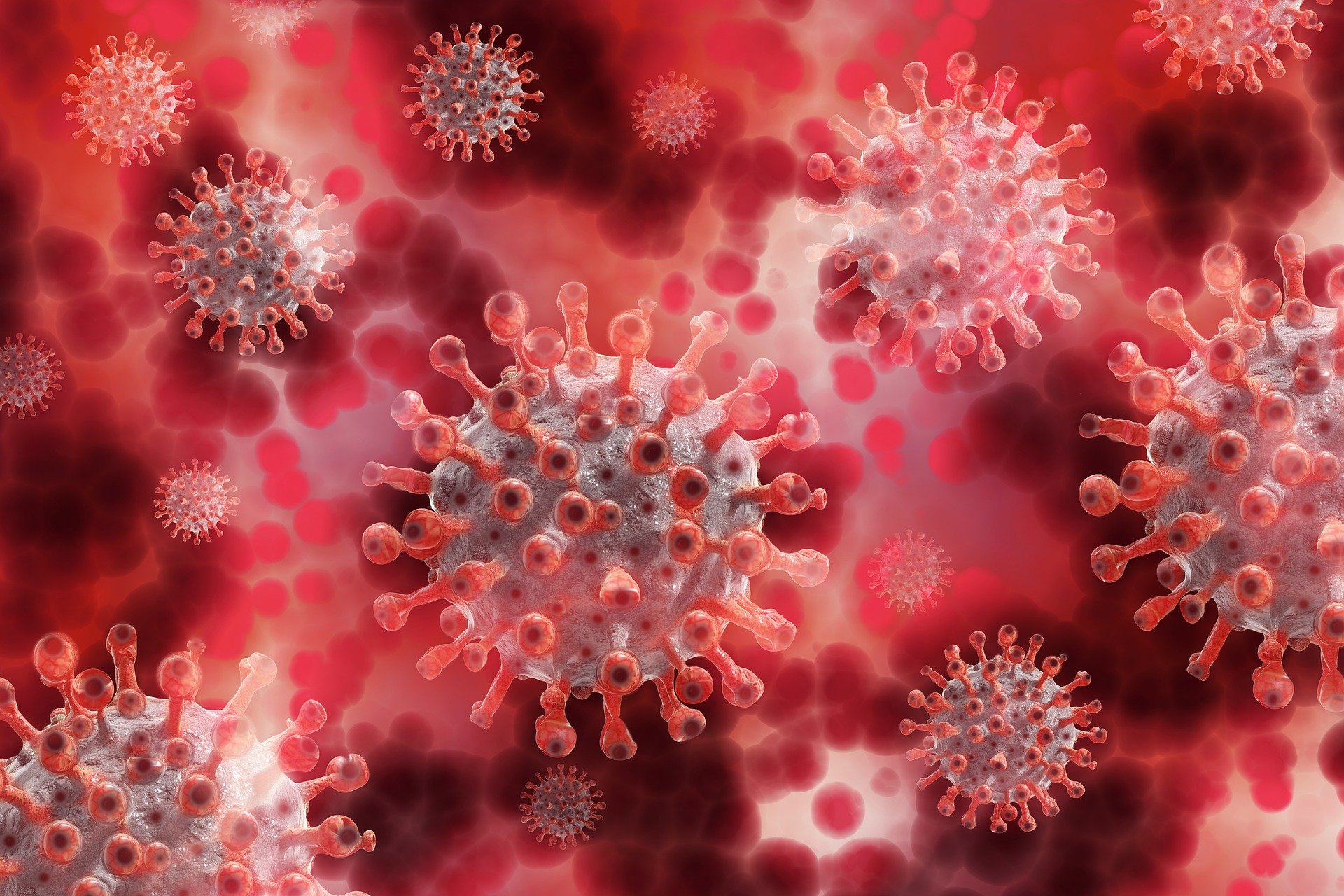 Seegene: Multiplex PCR-Test kann neue Omikron-Variante identifizieren ...